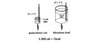 QUE ES EL CALOR: DEFINICIÓN, SIGNIFICADO Y CONCEPTO
